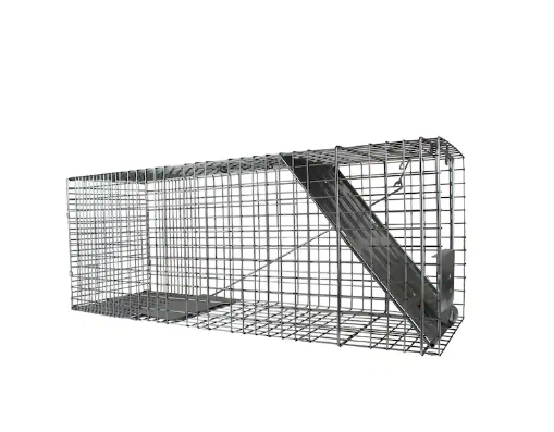"Havahart Large 1-Door Professional Live Animal Cage Trap for Raccoon ...