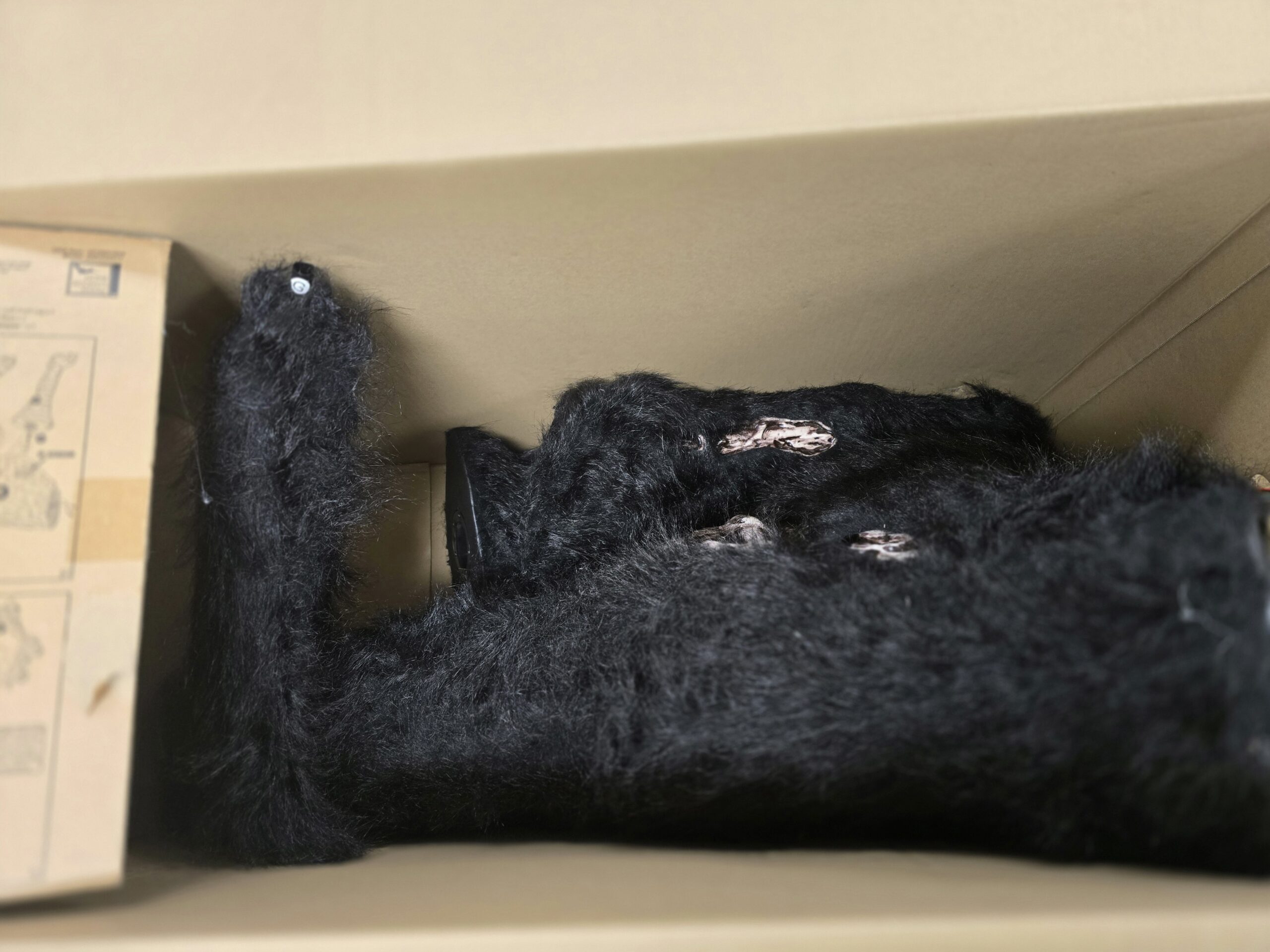 5.5FT Animated LED Fear Valley Wolf Halloween Holiday Prop Animatronic ...