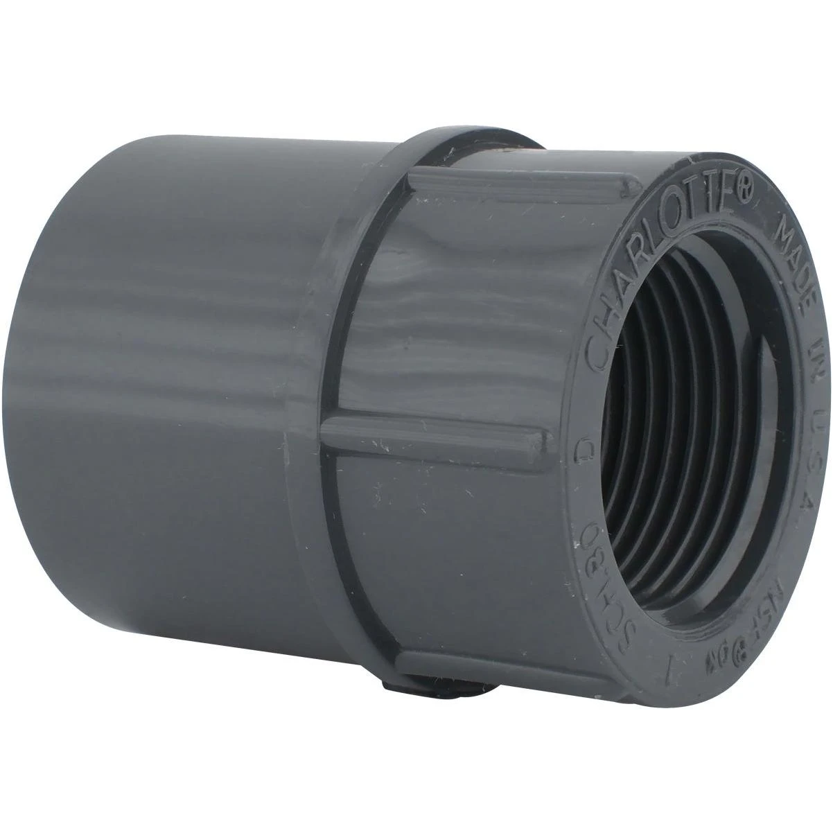 CHARLOTTE PIPE Charlotte Pipe 1 In. Schedule 80 Female PVC Adapter ...