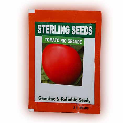 Riogrande – Determinate high yielding tomato variety with compact ...