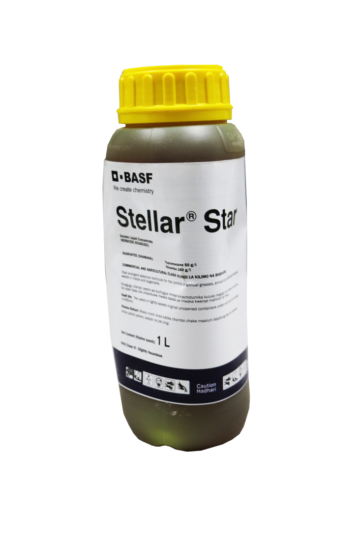 Stellar Star – Post emergence herbicide for weed control in maize ...