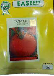 Tengeru 97 - Determinate round tomato with a high yield potential ...