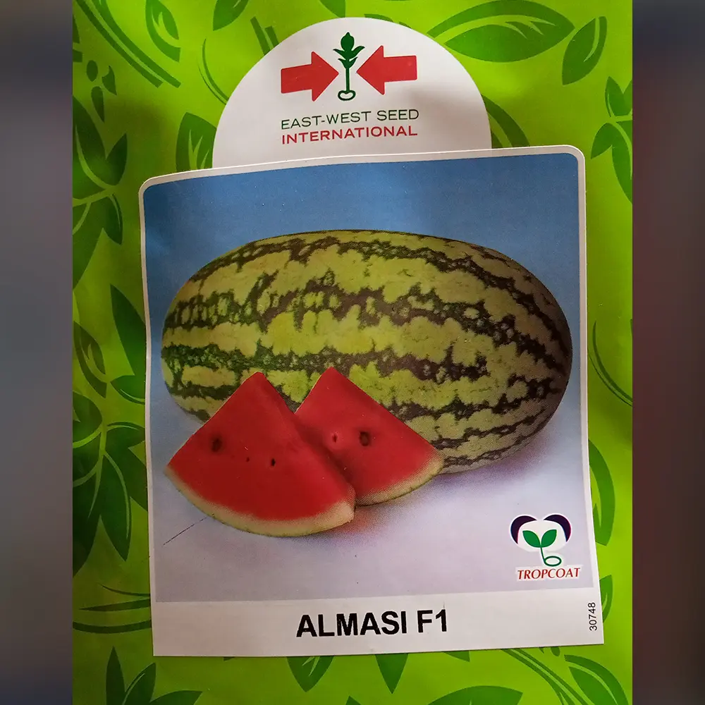 Almasi - Watermelon | EzyAgric