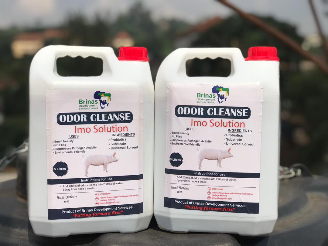 IMO Solution | EzyAgric