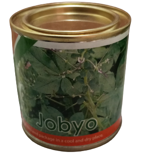 Jobyo – Spider plant | EzyAgric