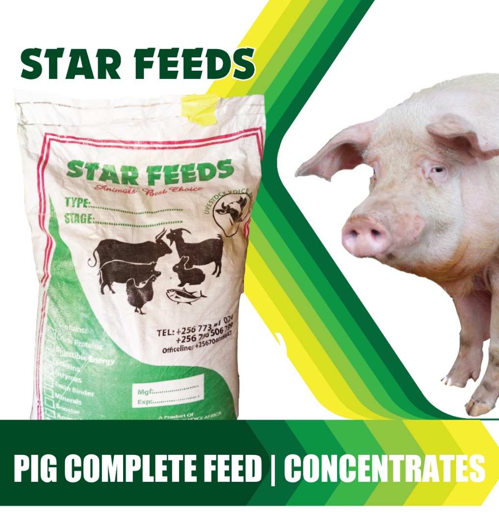 Pig fattener concentrate | EzyAgric