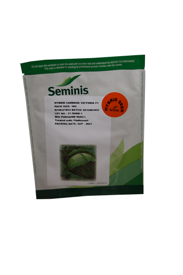 Hybrid cabbage victoria F1 | EzyAgric