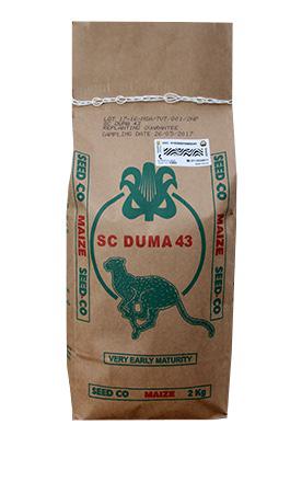 SC DUMA 43 – MAIZE SEED (Agro supply) | EzyAgric