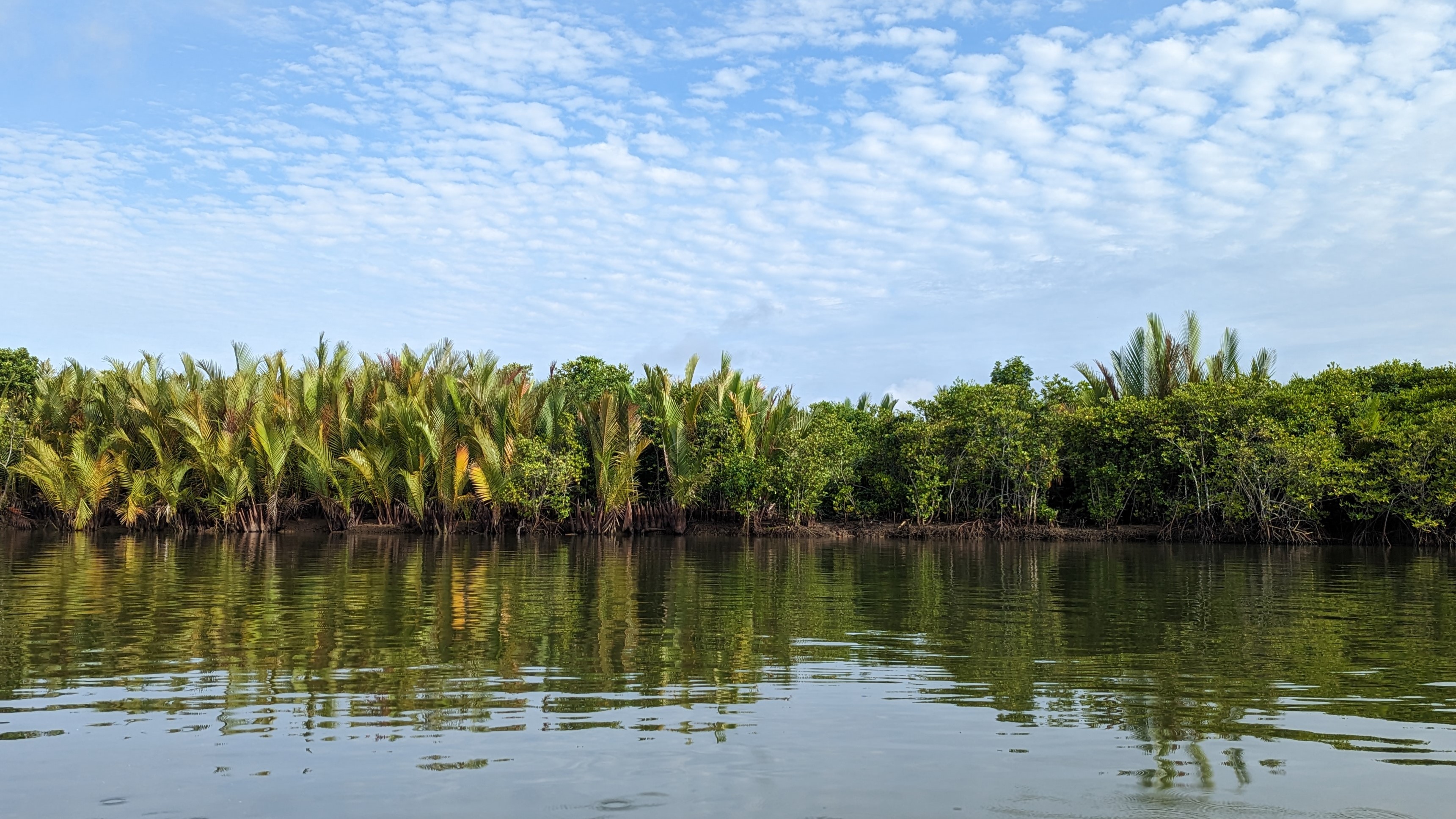 Cilacap Blue Carbon: Java's First Community-Based Blue Carbon Project ...