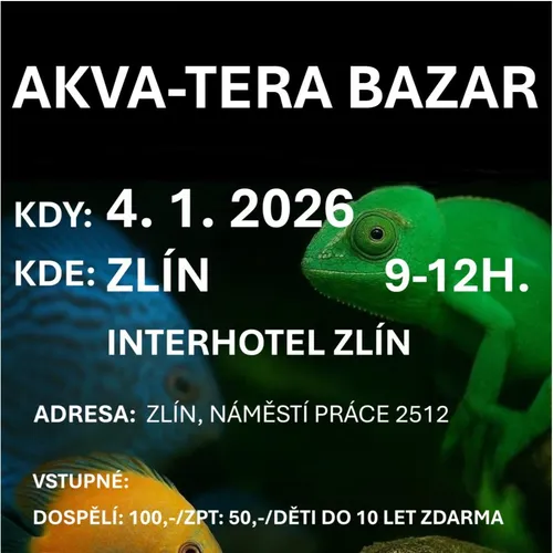 Akva Tera Bazar Zlín tickets | Fairplay