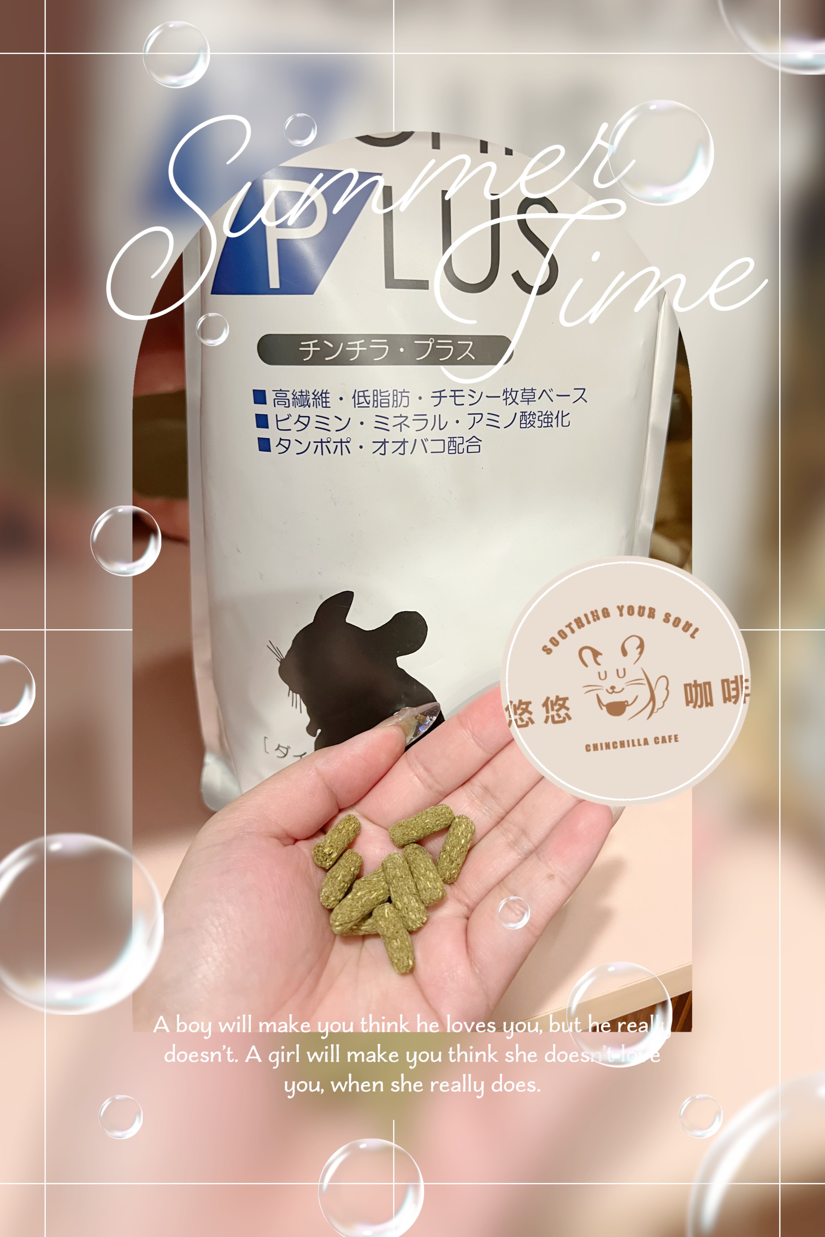 全家 好賣+ - 💗UU pet slippers 💗 兔子/天竺鼠/龍貓/倉鼠商品販售 悠悠龍貓咖啡有限公司 統編90293230 ...