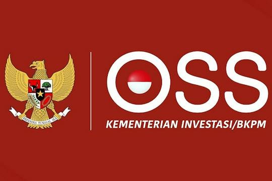 Pembenahan OSS RBA dan Penerbitan NIB untuk Badan Usaha