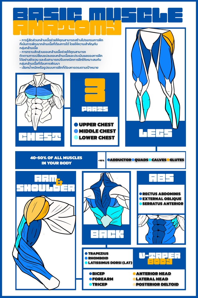 ออกแบบ Infographic