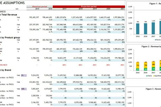 Financial model และ Feasibility Study