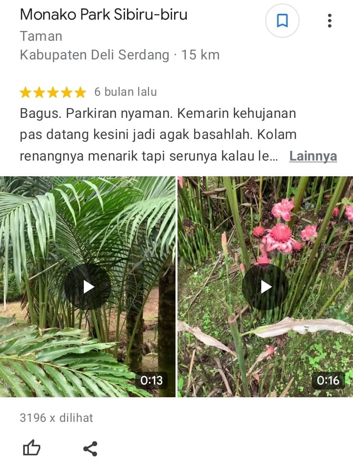 Review di Google Maps dan Shopee