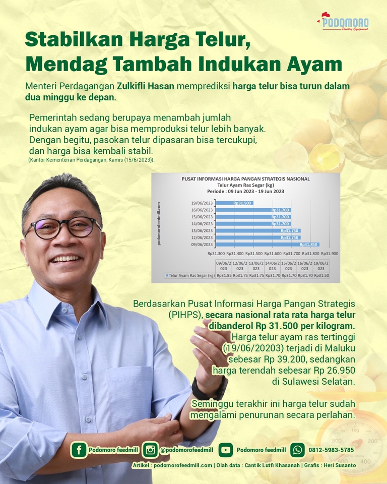 Desain Infografis untuk perusahaan, instansi, dll