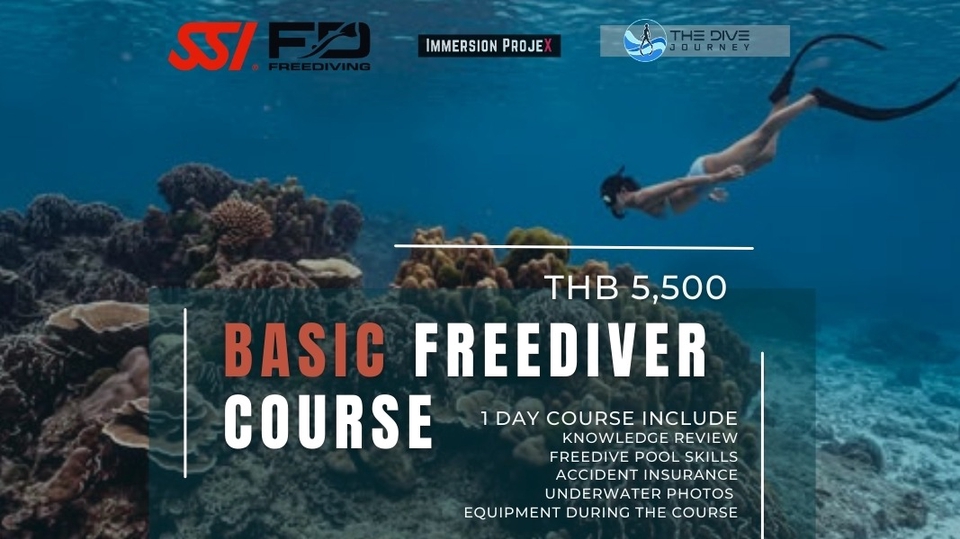 เรียนดำน้ำฟรีไดฟ์ เบสิกฟรีไดฟ์เวอร์ Basic Freediver course | Try Freedive ทดลองดำฟรีไดฟ์ | ภูเก็ต