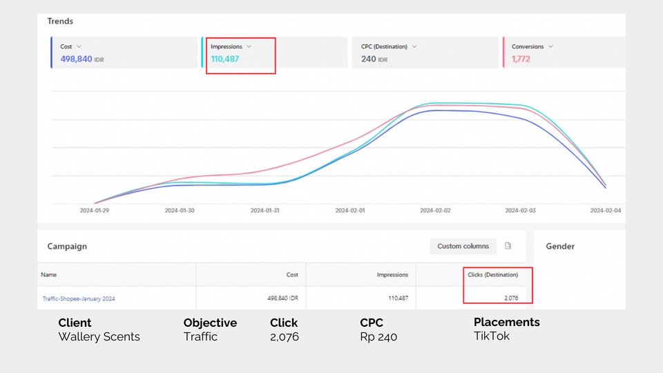 Facebook Ads Reguler | Facebook Collaborative Ads (CPAS) | TikTok Ads