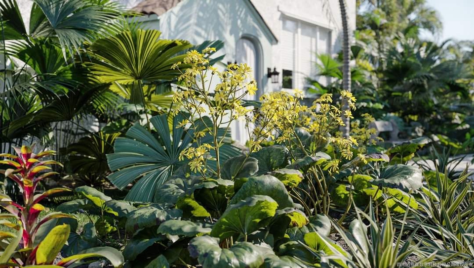 ENSCAPE LIBRARY ASSET