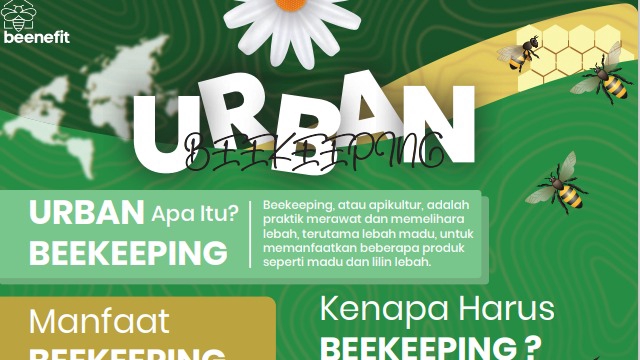 Design Infographic Professional