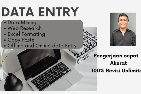 Data Entry Offline dan Online, Entry Data Web Scraping, Data Mining, Formating