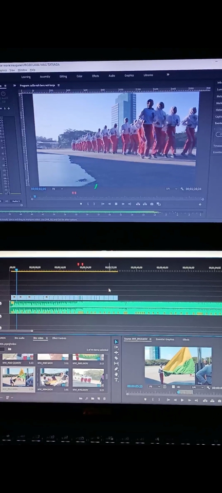Penguin Video Editing