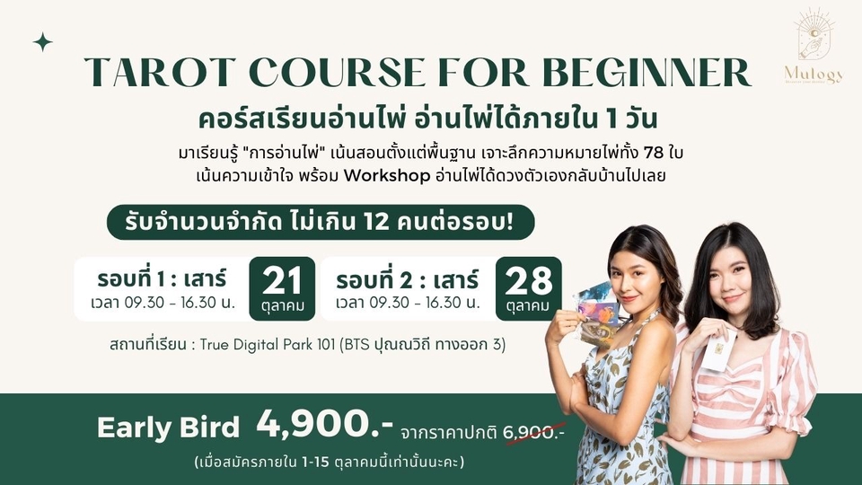 Tarot Course for Beginner