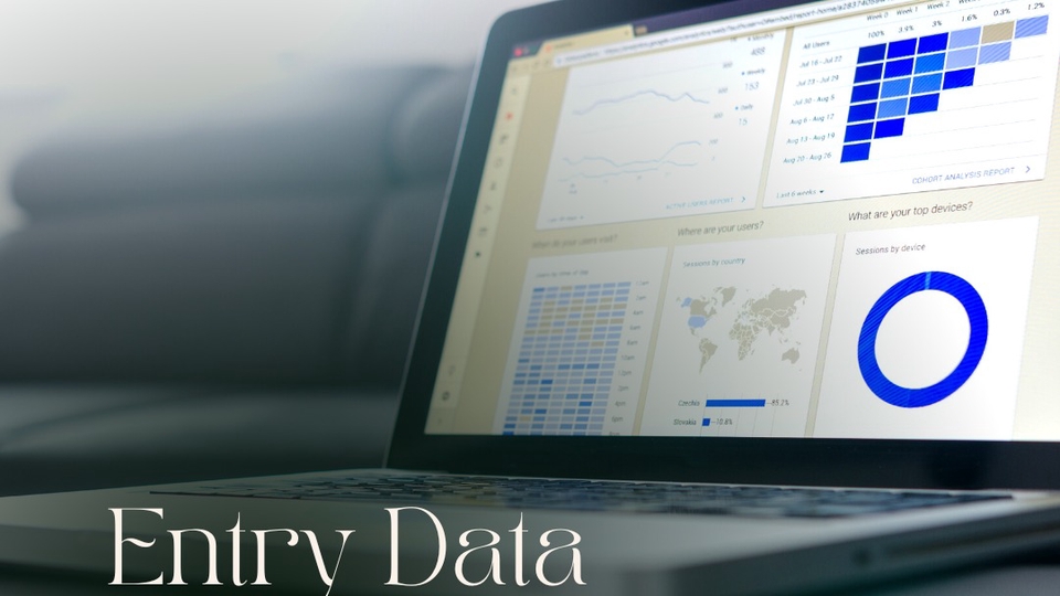Entry Data