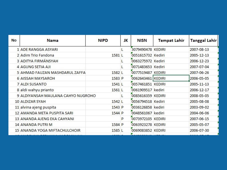 ENTRY DATA MS. OFFICE