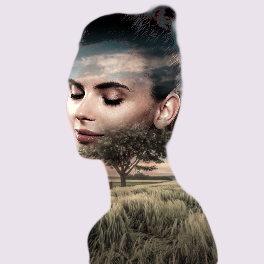 Photo Manipulation & Digital Imaging