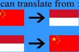 Translate Mandarin-Indonesia Vice Versa