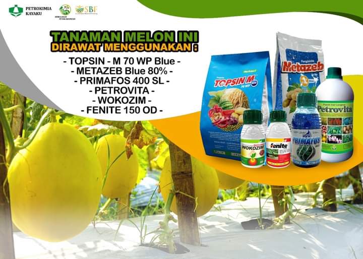 Banner Pestisida Online