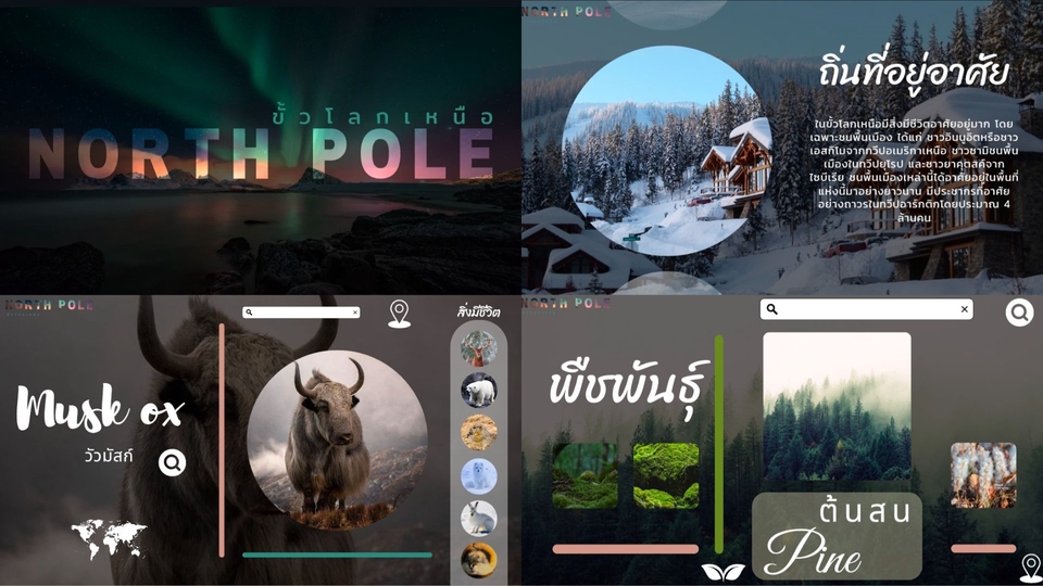 SlideCraft - ศิลปะการเล่าเรื่องผ่านสไลด์