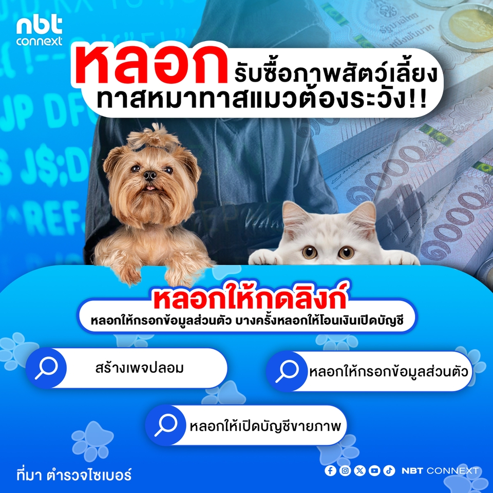 Infographic NBT connext