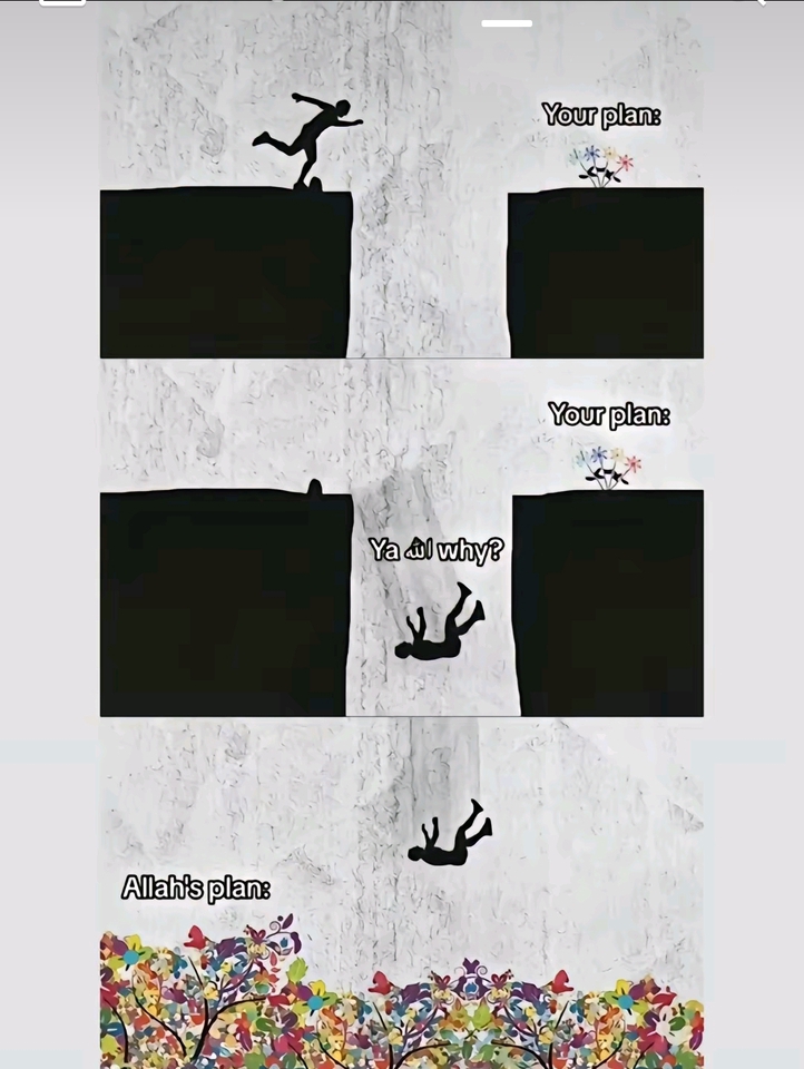 PHOTO EDITING (CROP, REMOVE BG, CUT, DLL)