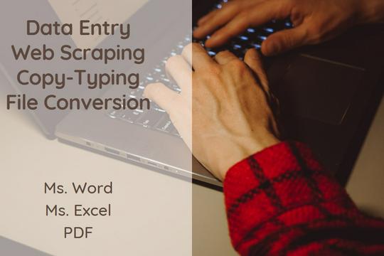 Typing Service, Data Entry Fast Response