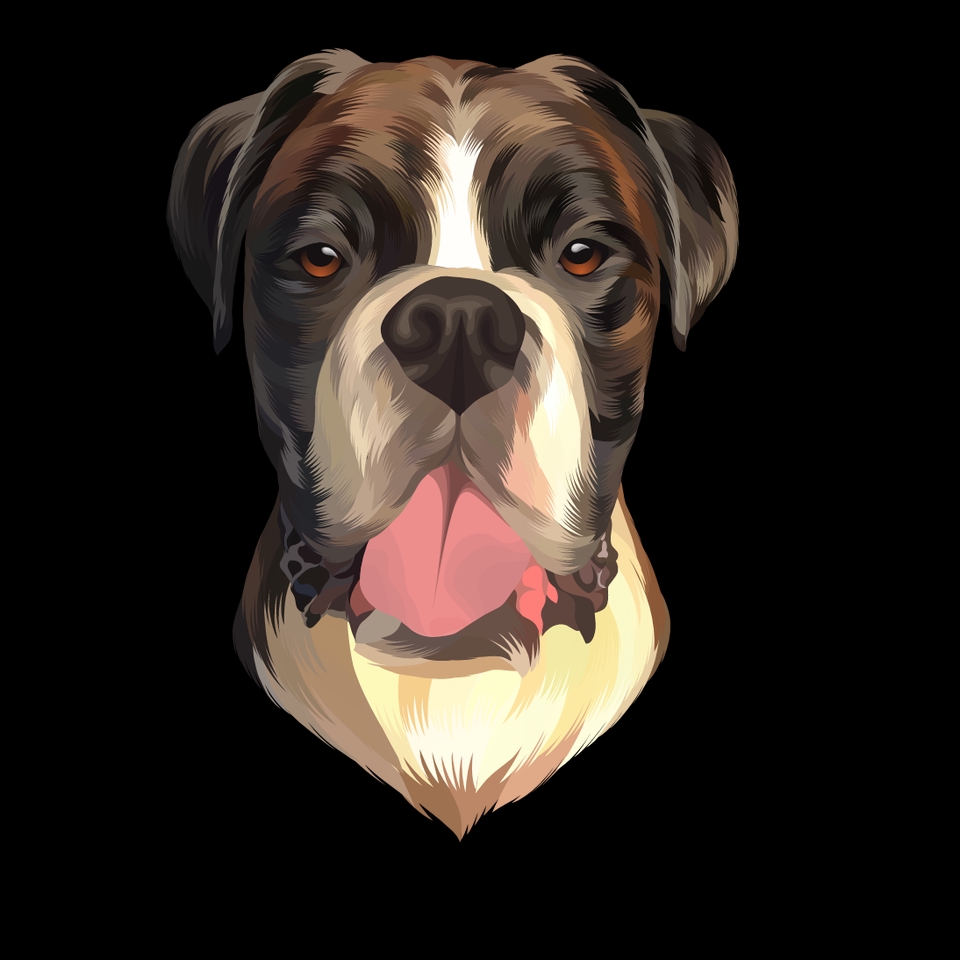 Vector pet
