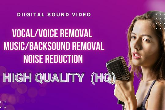 Vocal/Music Removal & Noise Reduction (Editing Audio)