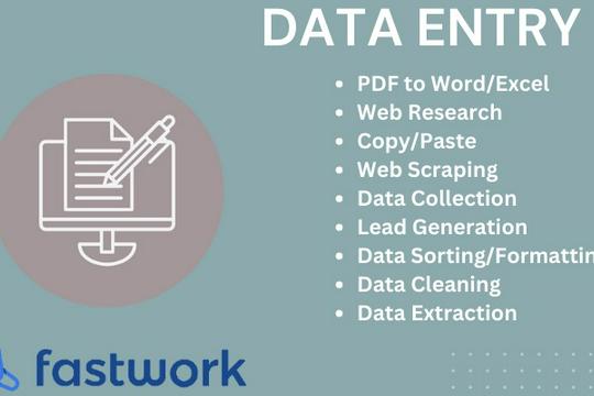 I will do data entry, PDF, excel, copy paste, data extract