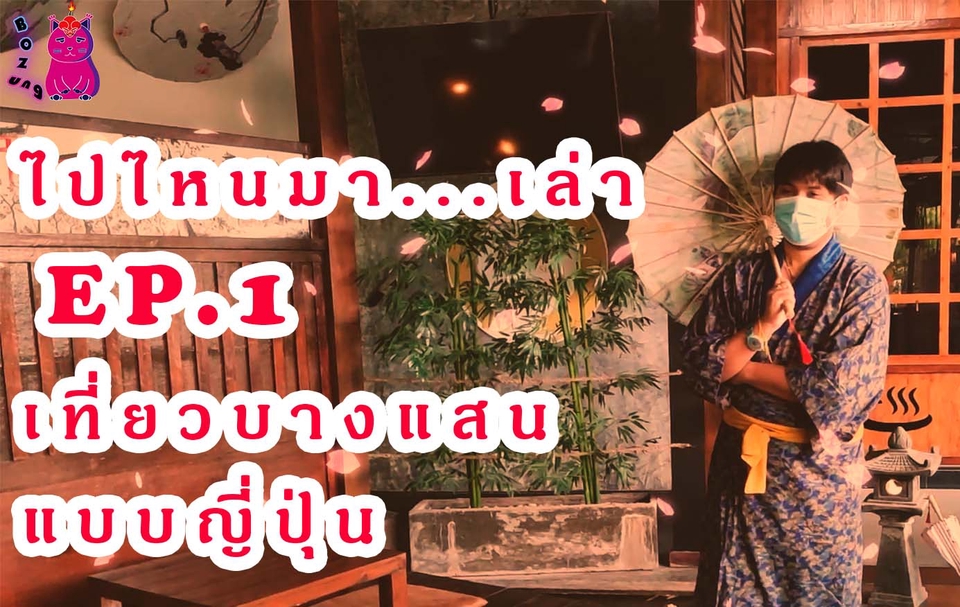 VDO presentation merge with 3D Program