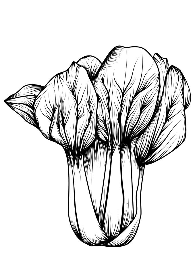 Vector tracing