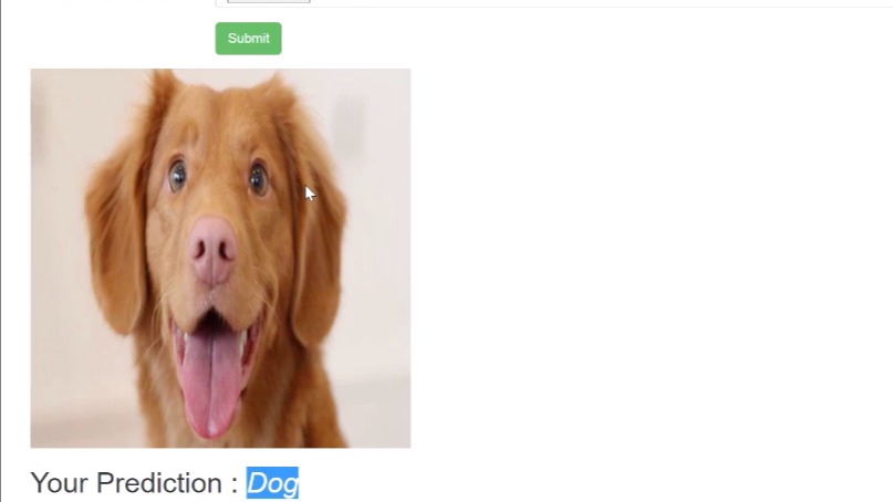 Machine Learning & Deep Learning Image Classification - Yorsha