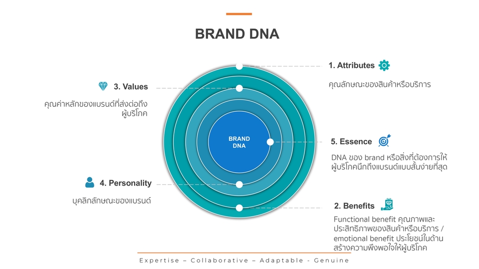 ปรึกษาสร้างแบรนด์ หาจุดขาย เลือกกลุ่มเป้าหมาย Brand Consult เพื่อการเติบโตระยะยาว