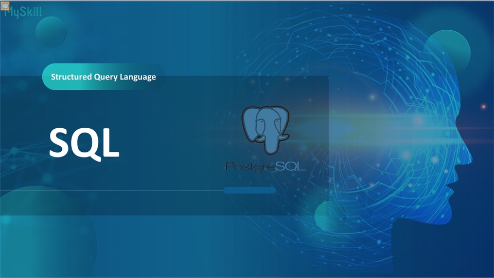Jasa Analisis Data, Pembuatan Dashboard Excel, Tableau, Looker Studio, penarikan data SQL / Python