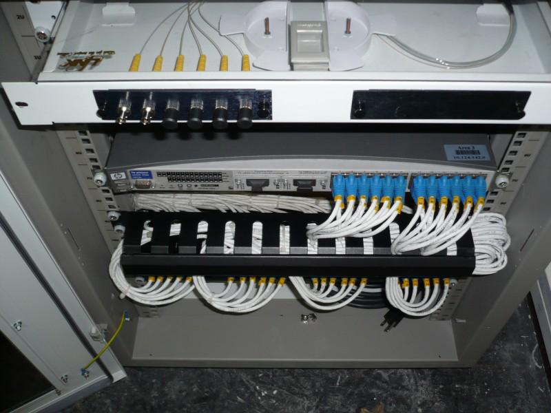 Network Engineer Consultant