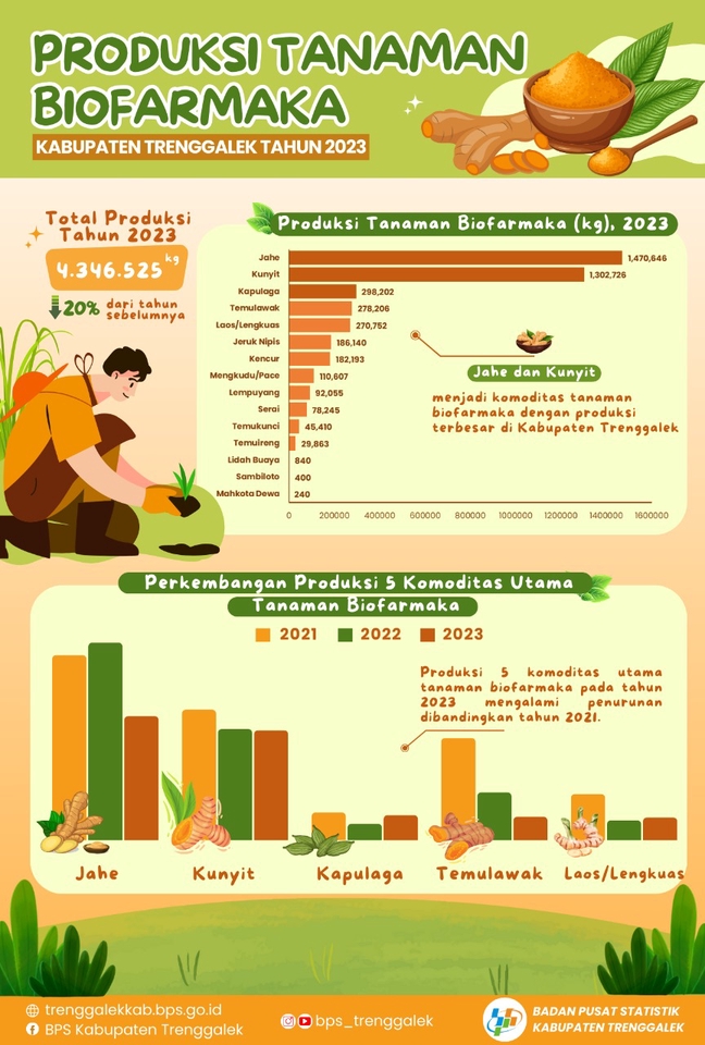 Desain Infografis yang Menarik dan Informatif