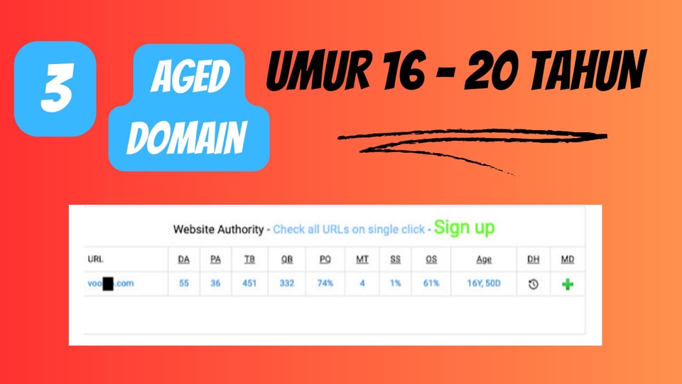 Jual Aged Domain atau Domain Berumur