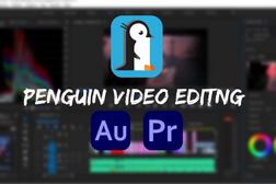 Penguin Video Editing