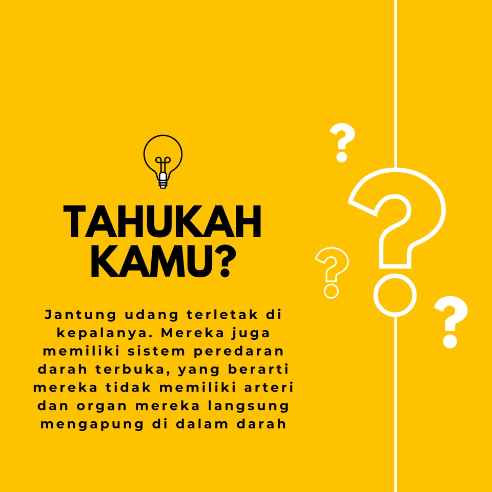 Pembuatan Motion graphic, 3D animation, Banner