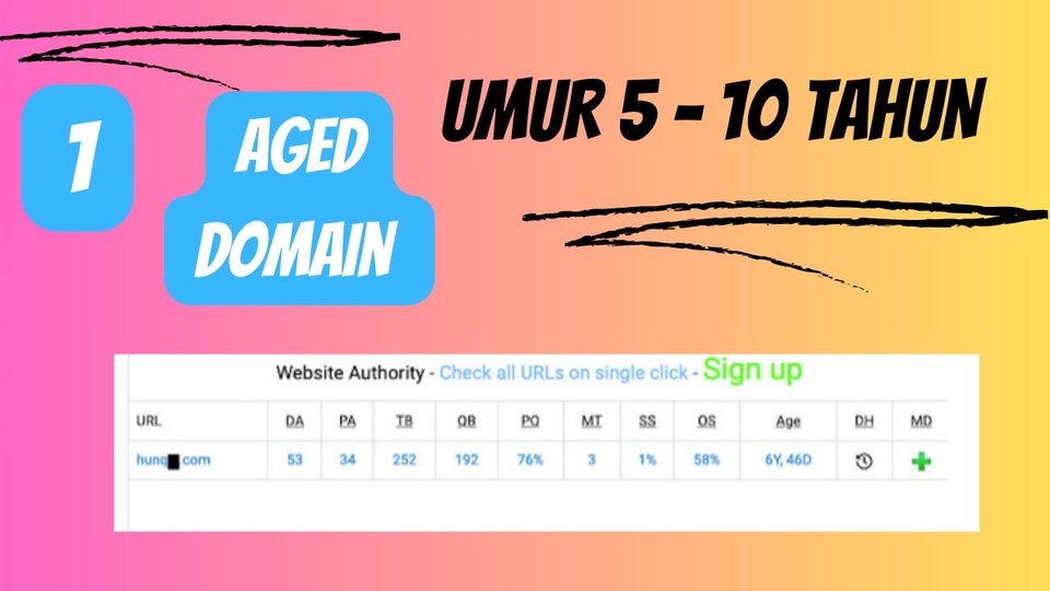 Jual Aged Domain atau Domain Berumur